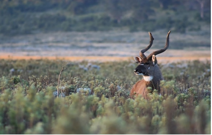 WHAT TO SEE AND DO-Bale ? – Bale Mountains Brilliant Tours